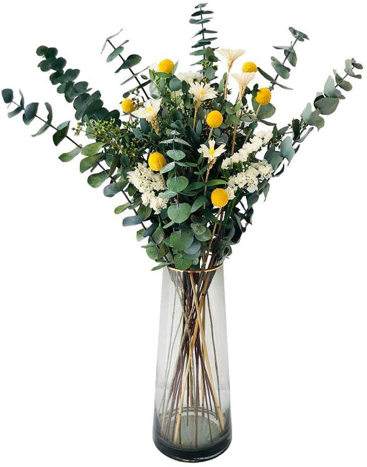 Color Life 30 Stems Natural Dried Flower - Craspedia/Billy Balls ...