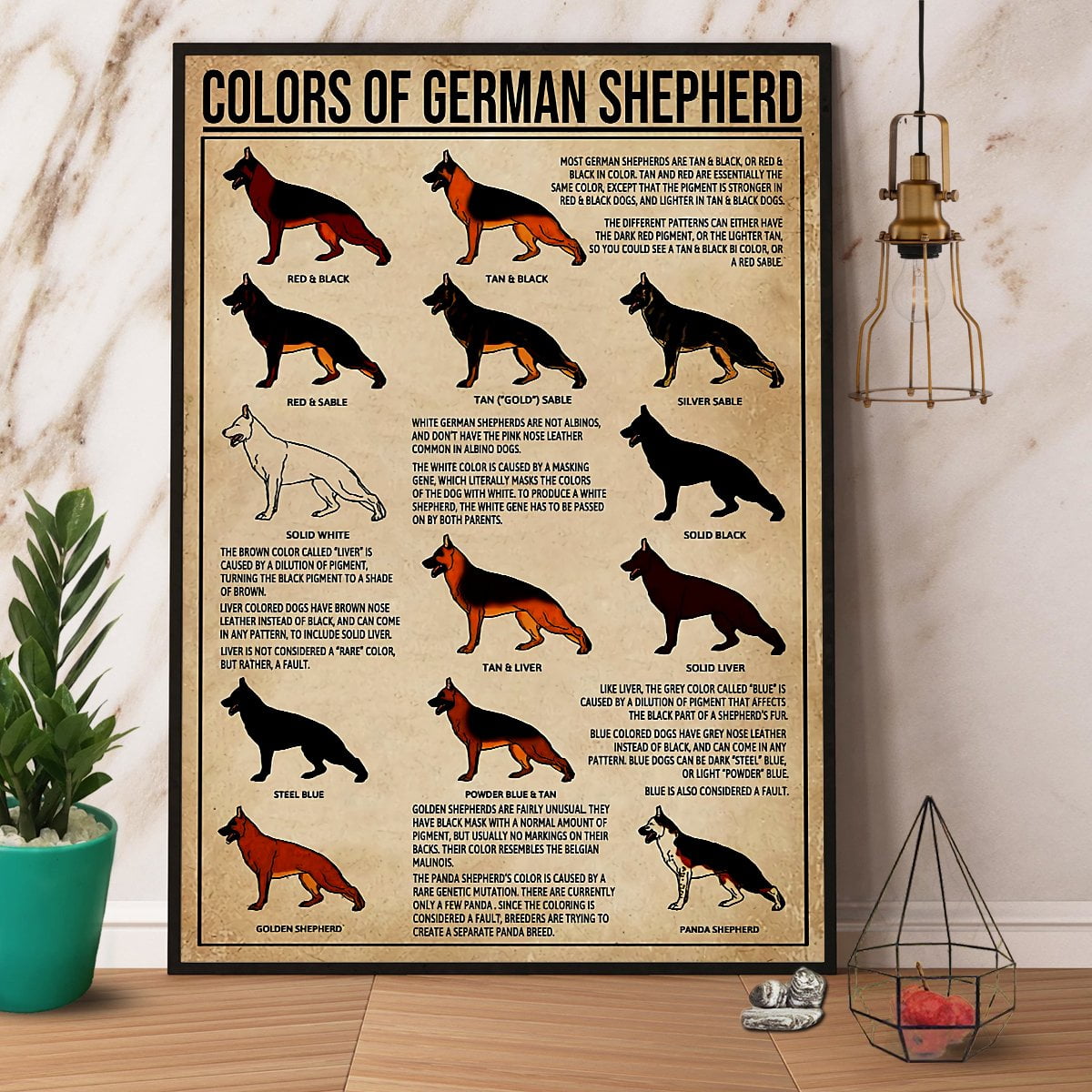 Color Of German Shepherd Paper Poster No Frame Matte Wall Art Decor 24 ...