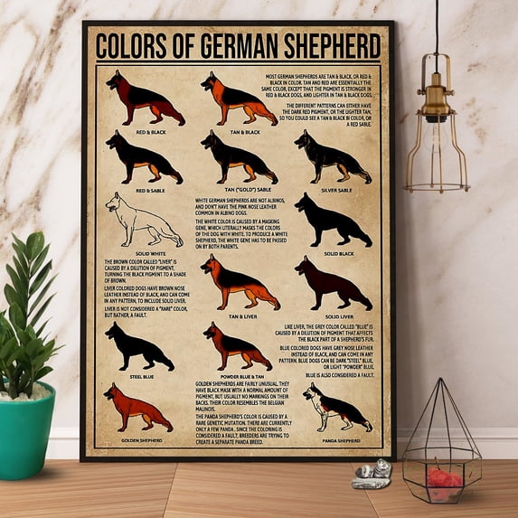 Color Of German Shepherd Paper Poster No Frame Matte Wall Art Decor 24 ...