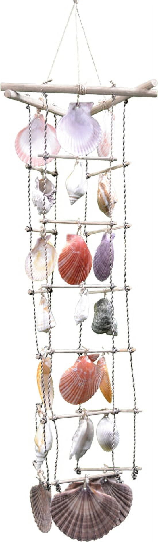Color Pectens Seashells Triangle Mobile/Chime Nautical Beach Decor20 ...