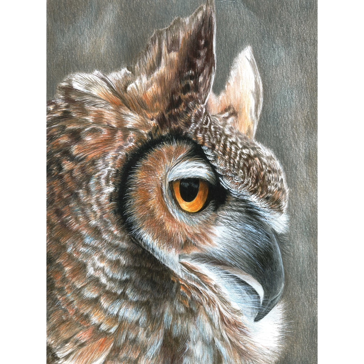 Color Pencil By Number Kit 8.75"X11.75"-Sepia Owl - Walmart.com
