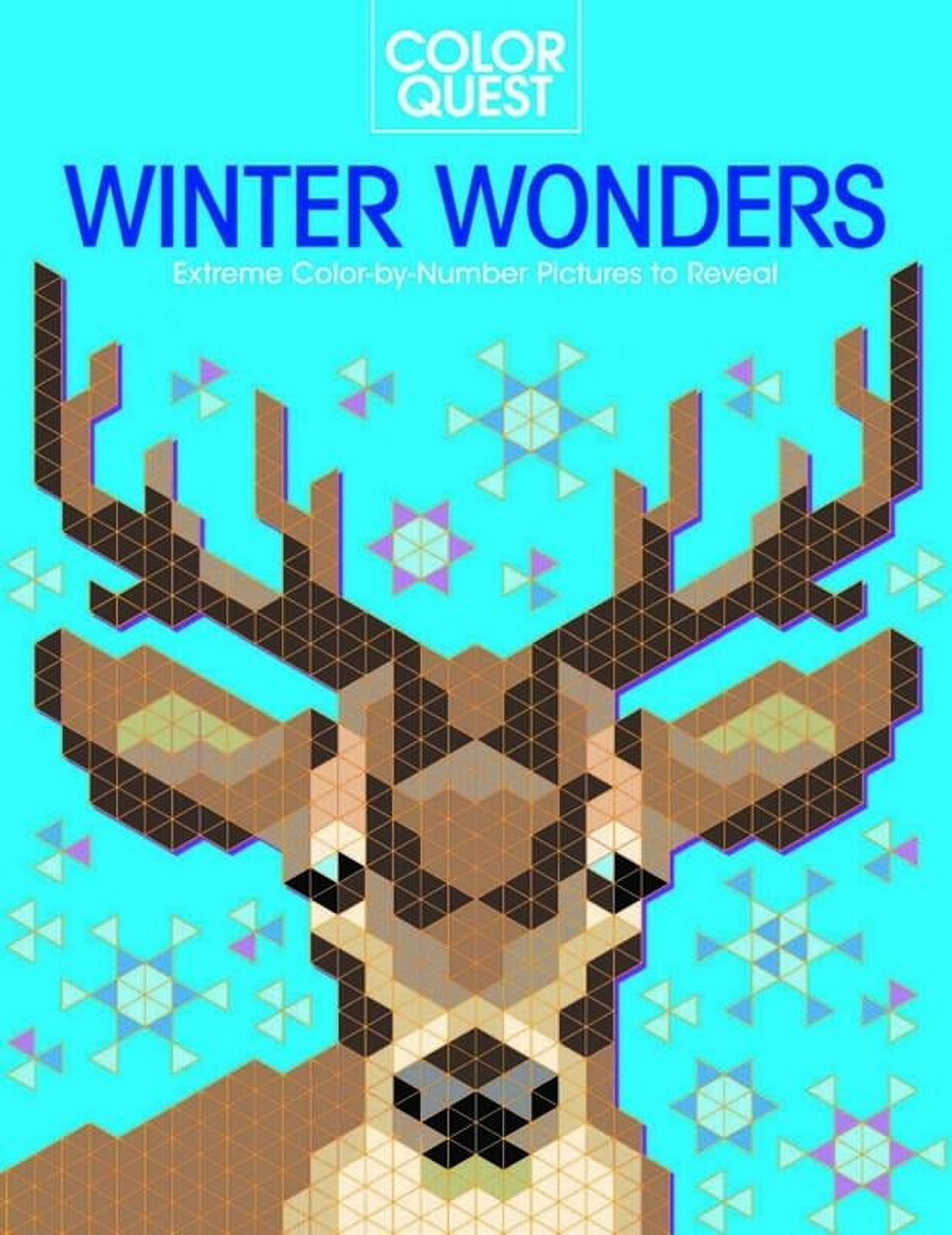 Color Quest: Color Quest: Winter Wonders: Extreme Color-By-Number ...