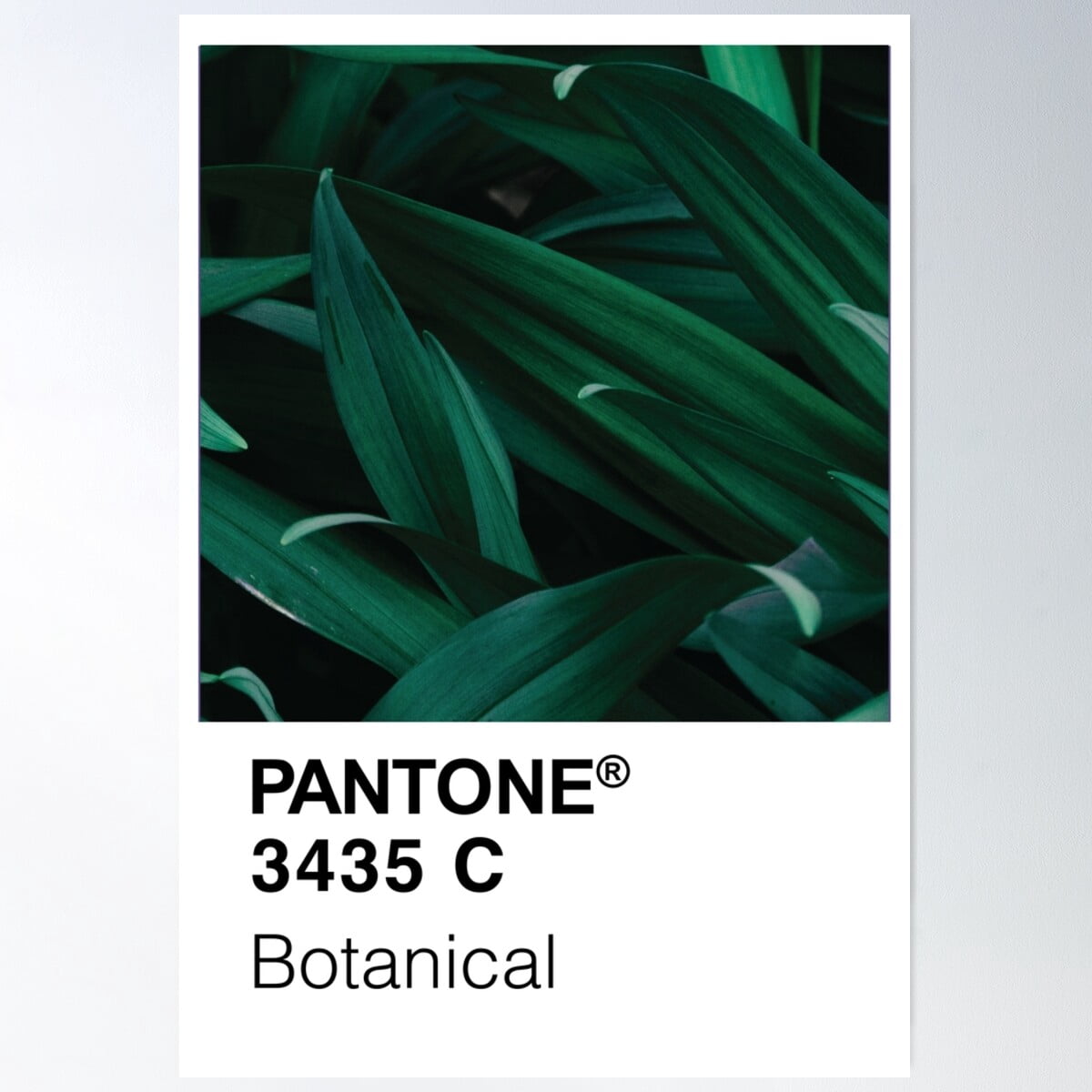 Color Swatch - Green Botanical Plant Poster, 24x36 UNFRAMED - Walmart.com