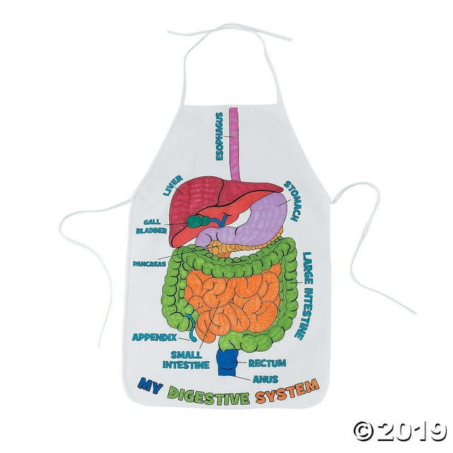 Color Your Own Digestive System Apron - Craft Kits - 12 Pieces ...