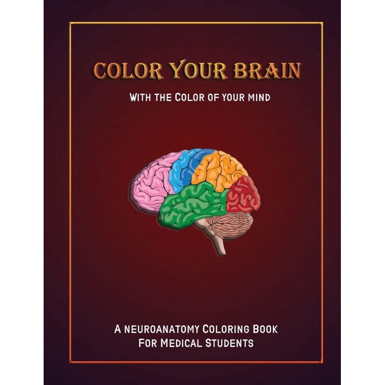 neuroanatomy coloring book