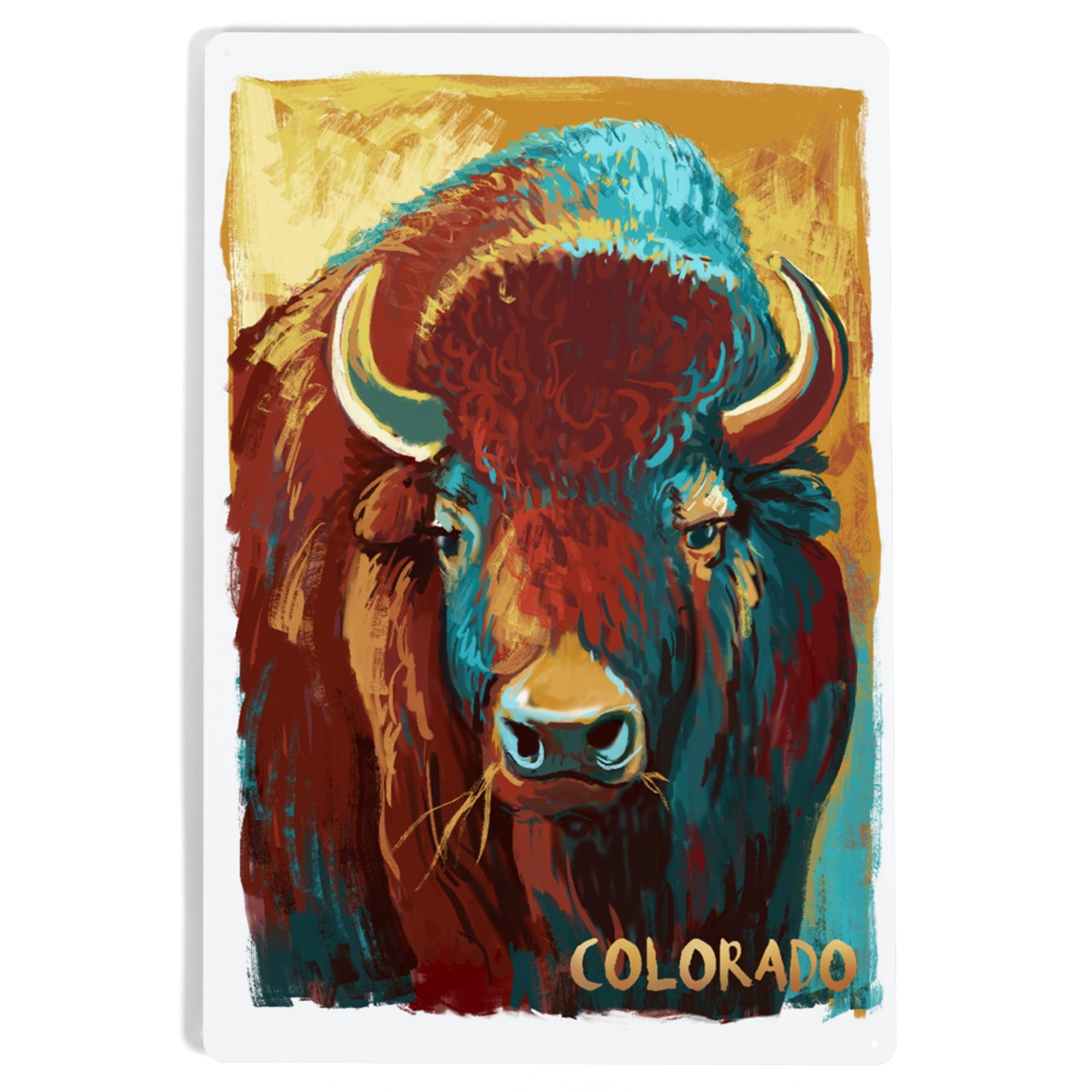 Colorado, Bison, Vivid (12x18 Aluminum Art, Indoor Outdoor Metal Sign ...