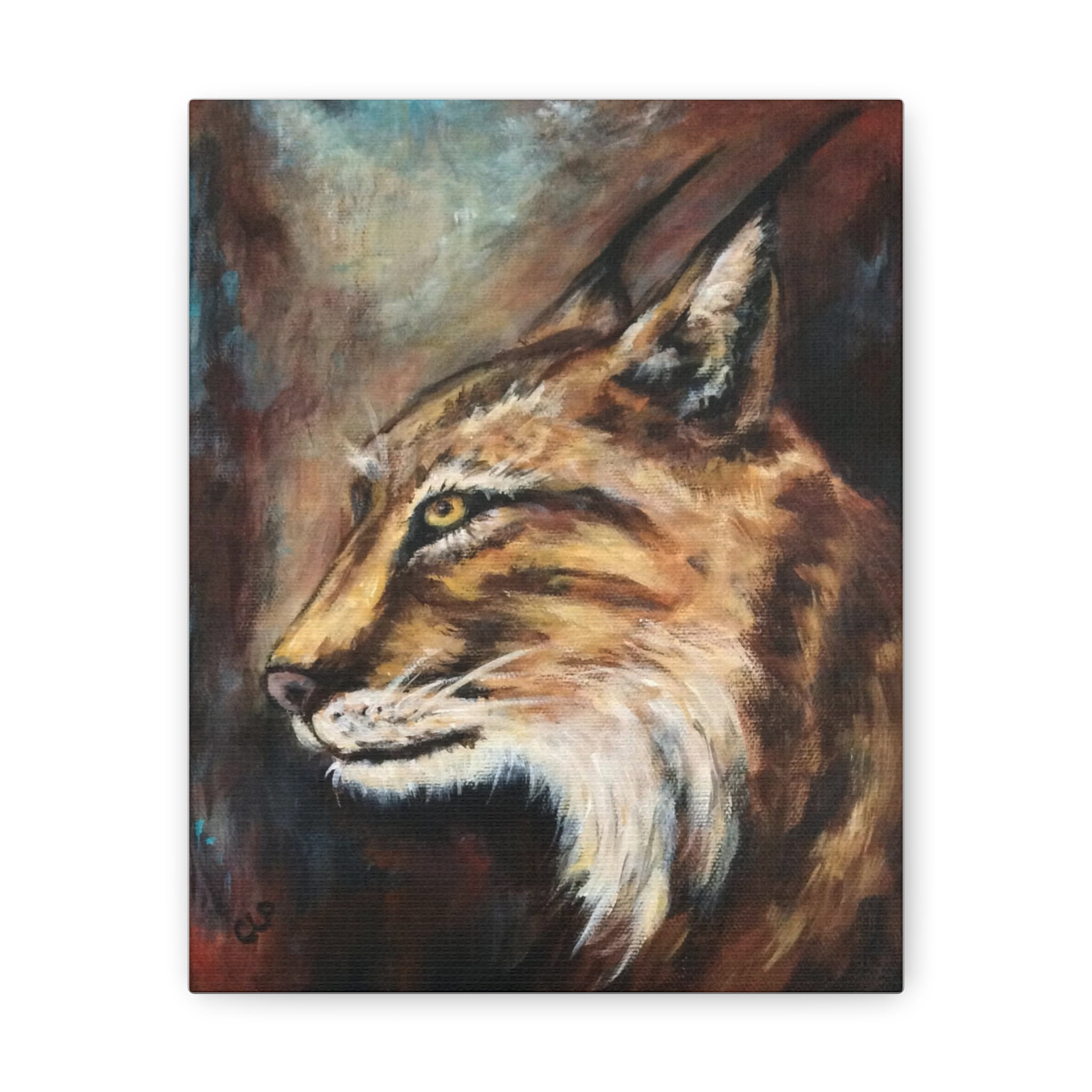 Colorado Bobcat, Cheryl Pettigrew Fine Art, Traditional Art, Canvas ...