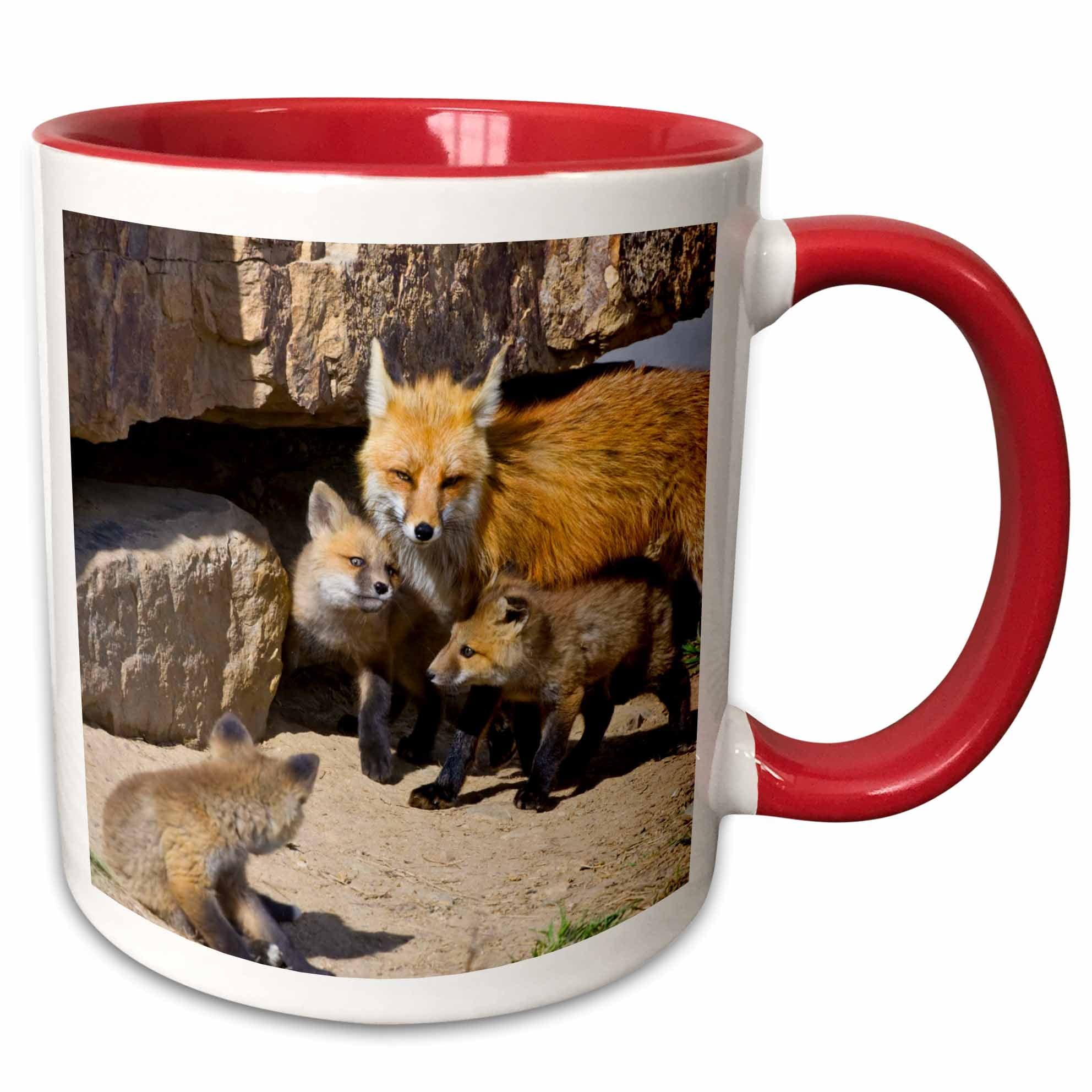 3drose, Colorado, Breckenridge. Red Foxes - Us06 Bja0064 - Jaynes ...
