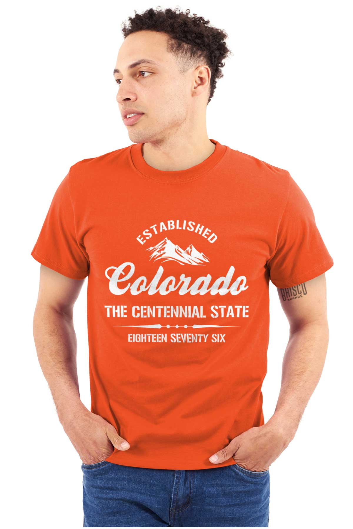 Colorado CO Centennial State Souvenir Men's Graphic T Shirt Tees Brisco ...