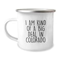 Colorado Camping Mug, Funny Quote, Gifts from Friends, for Colorado ...