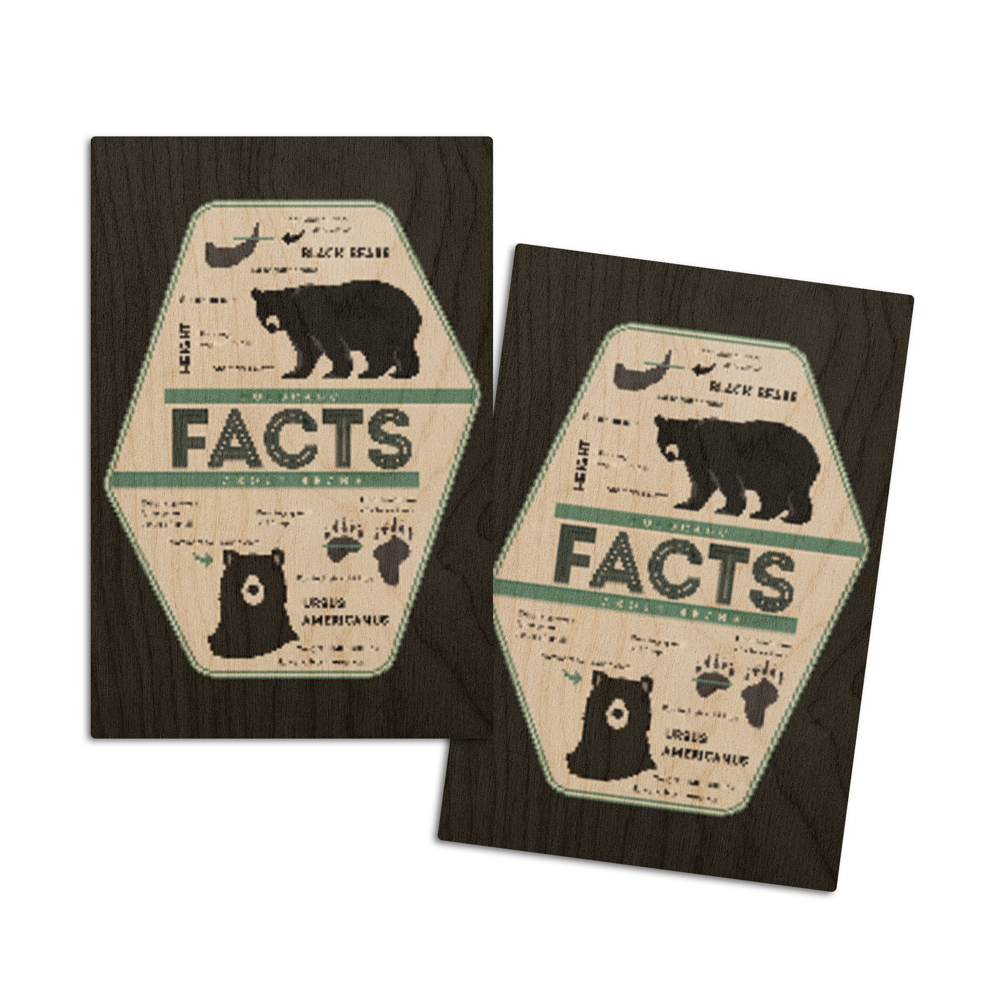 Colorado, Facts About Bears, Contour (4x6 Birch Wood Postcards, 2-Pack ...