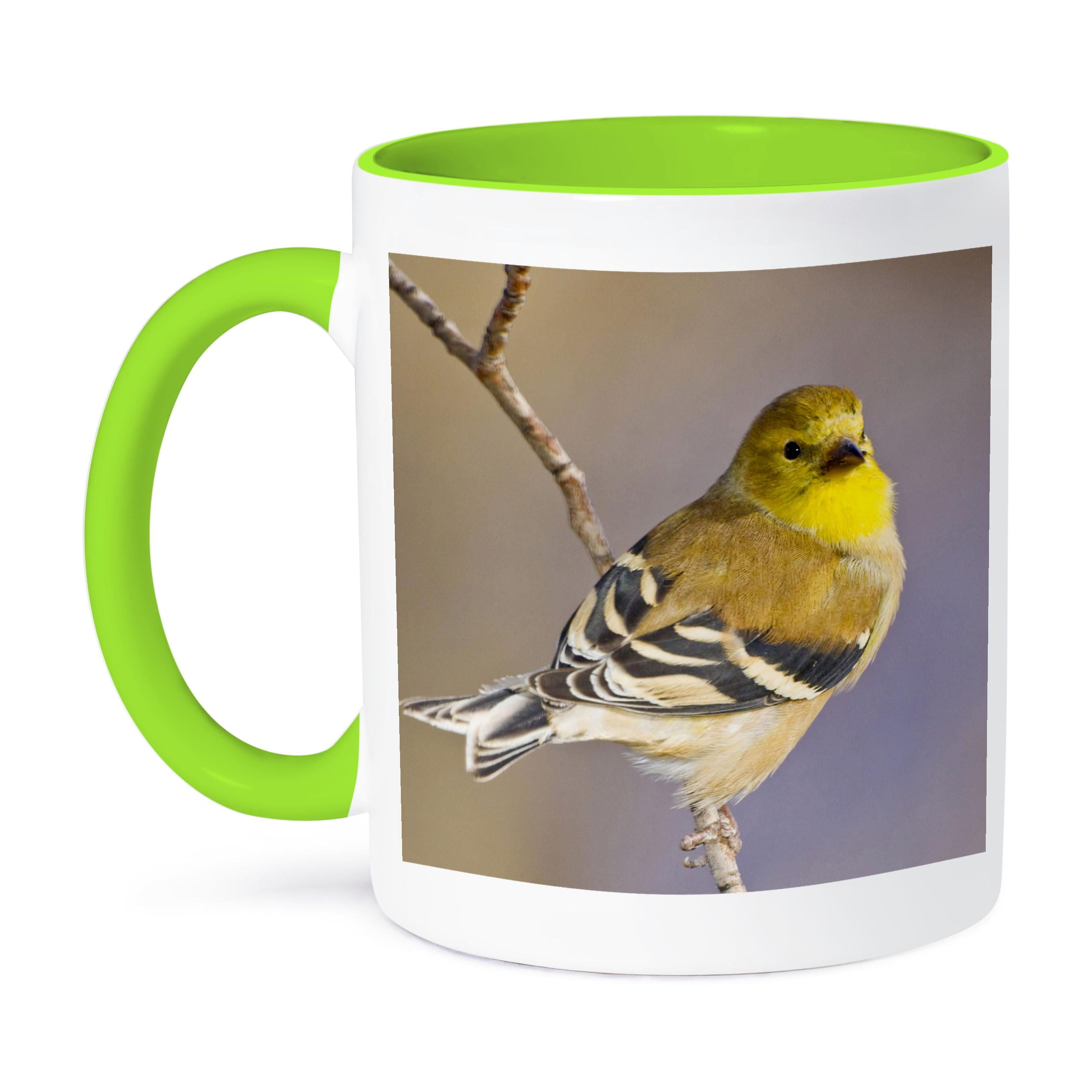 Colorado, Frisco, American Goldfinch Bird - Us06 Bja0077 - Jaynes ...