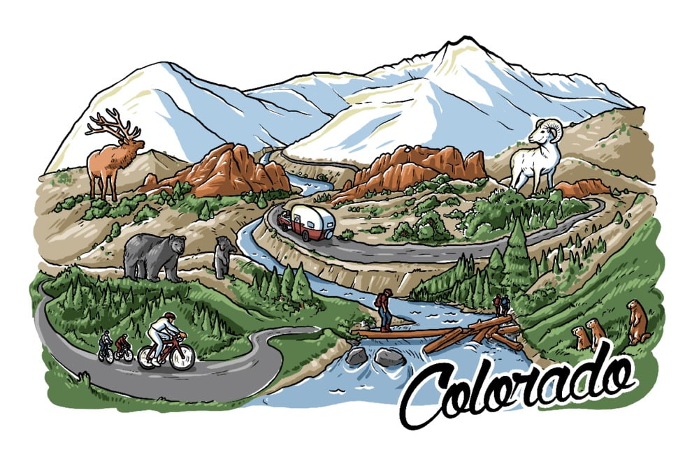 Colorado, Line Drawing (24x36 Giclee Gallery Art Print, Vivid Textured ...