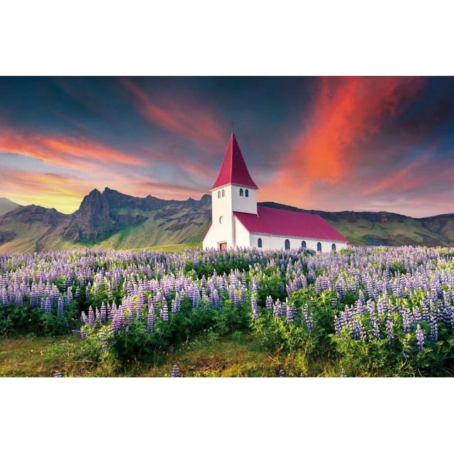 Colorado Snow Mountains Backdrop Pine Trees Forest Landscape Outdoor ...