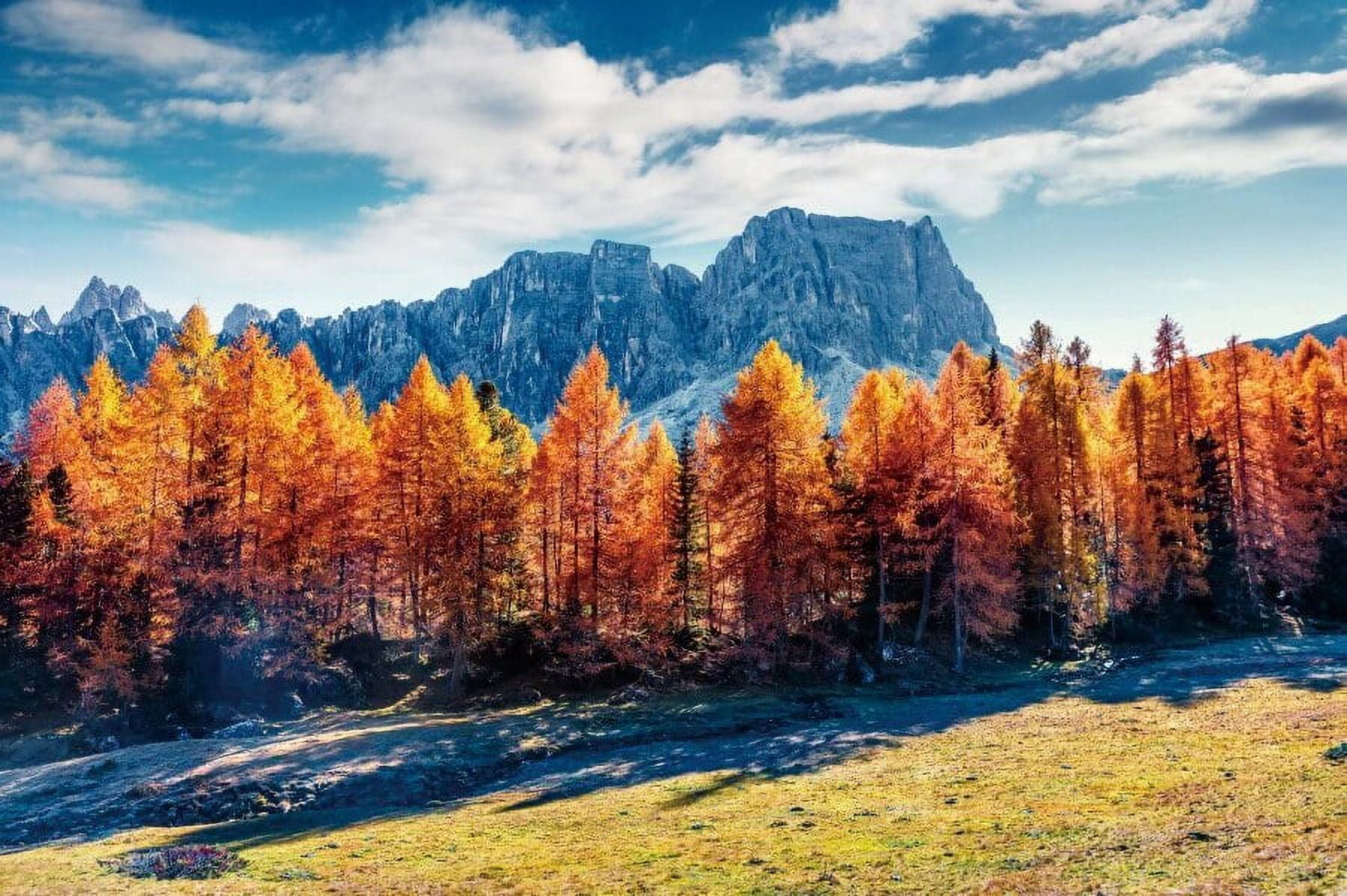 Colorado Snow Mountains Backdrop Pine Trees Forest Landscape Outdoor ...