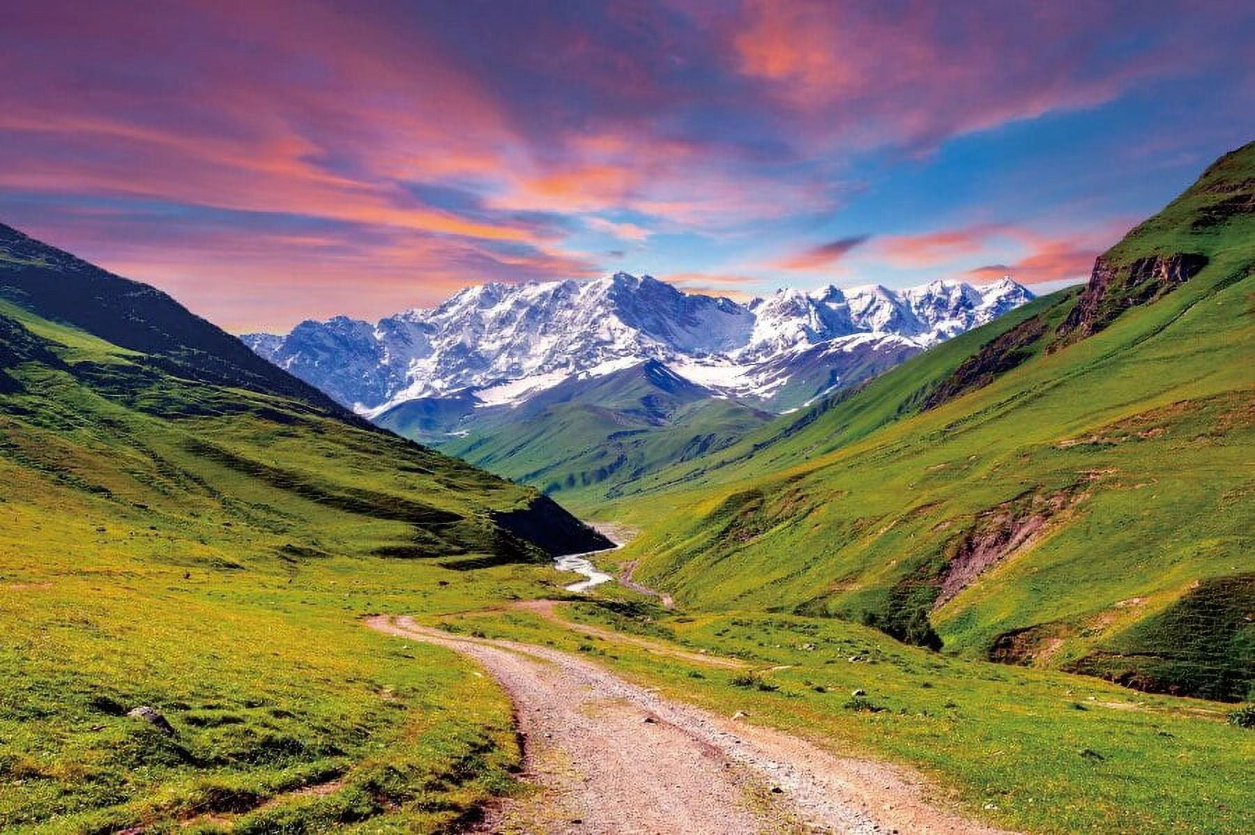 Colorado Snow Mountains Backdrop Pine Trees Forest Landscape Outdoor ...