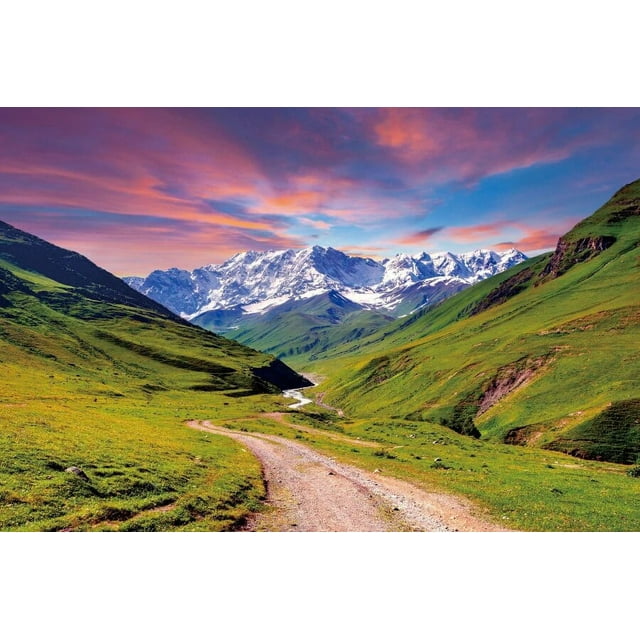 Colorado Snow Mountains Backdrop Pine Trees Forest Landscape Outdoor ...