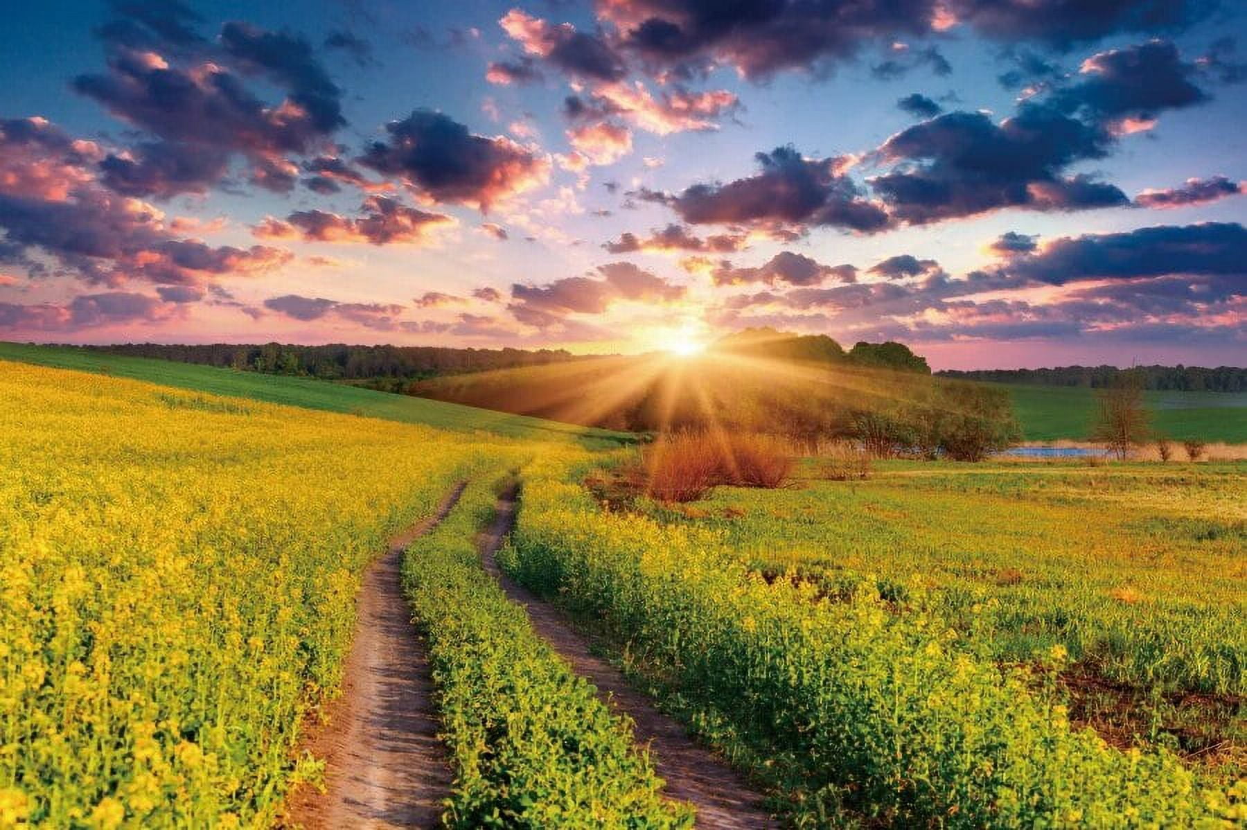 Colorado Snow Mountains Backdrop Pine Trees Forest Landscape Outdoor ...