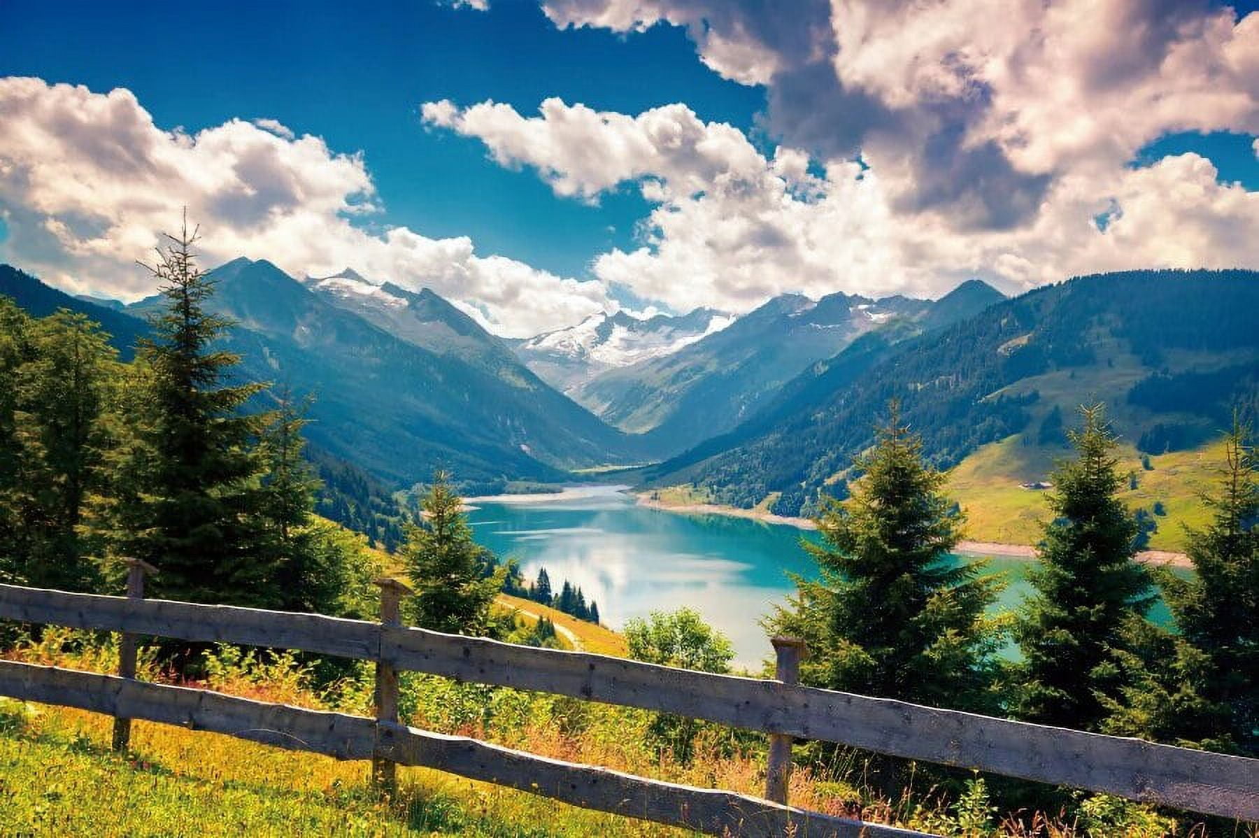 Colorado Snow Mountains Backdrop Pine Trees Forest Landscape Outdoor ...