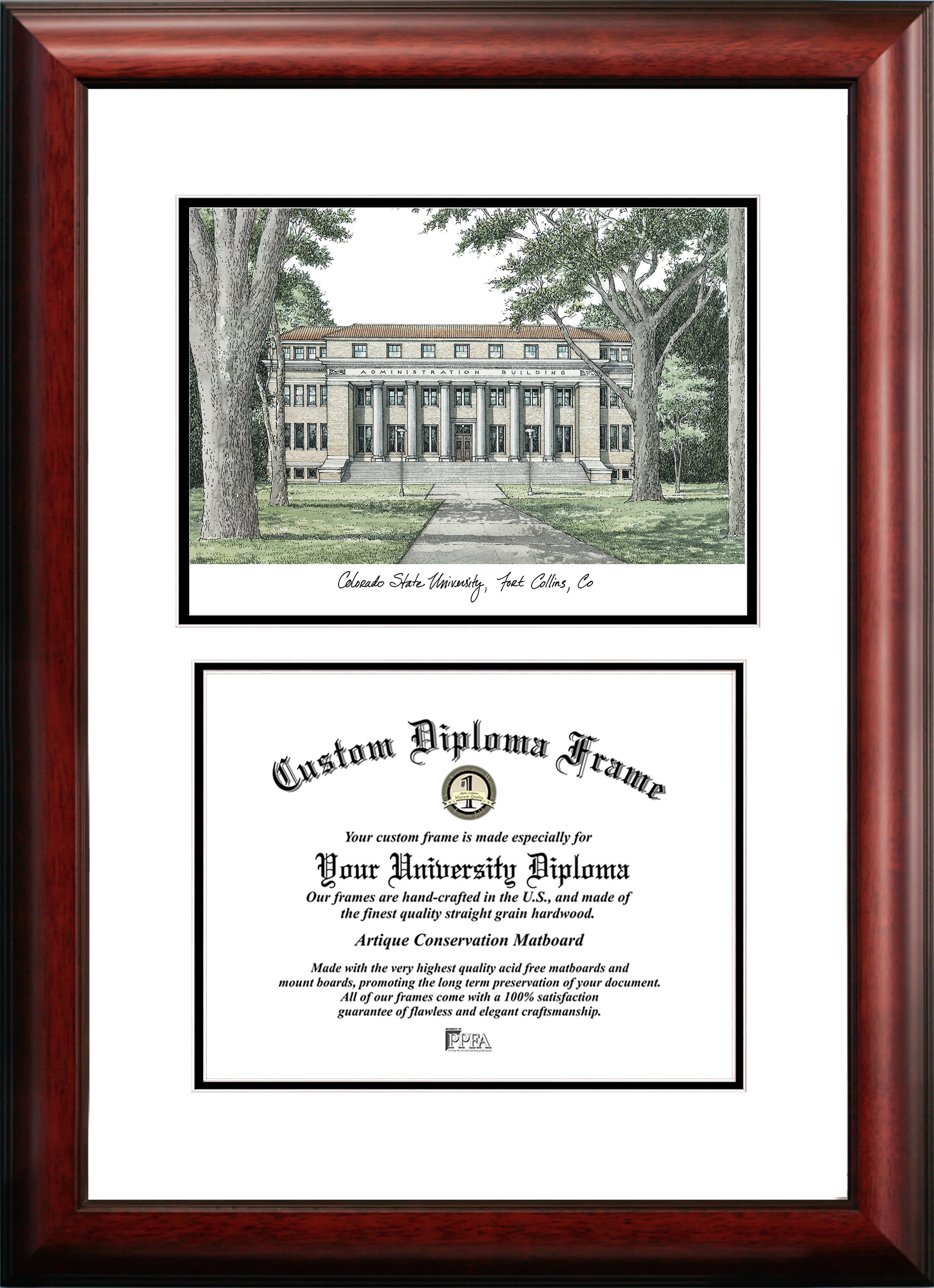 Free Shipping! Campus Images Colorado State University 8.5x11 Scholar ...