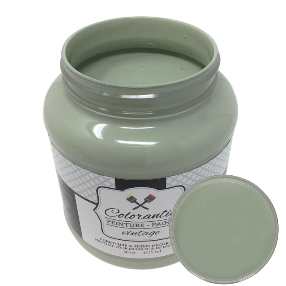 Colorantic | SAGE Chalk Paint Based for Furniture DIY - Multi-Surface ...