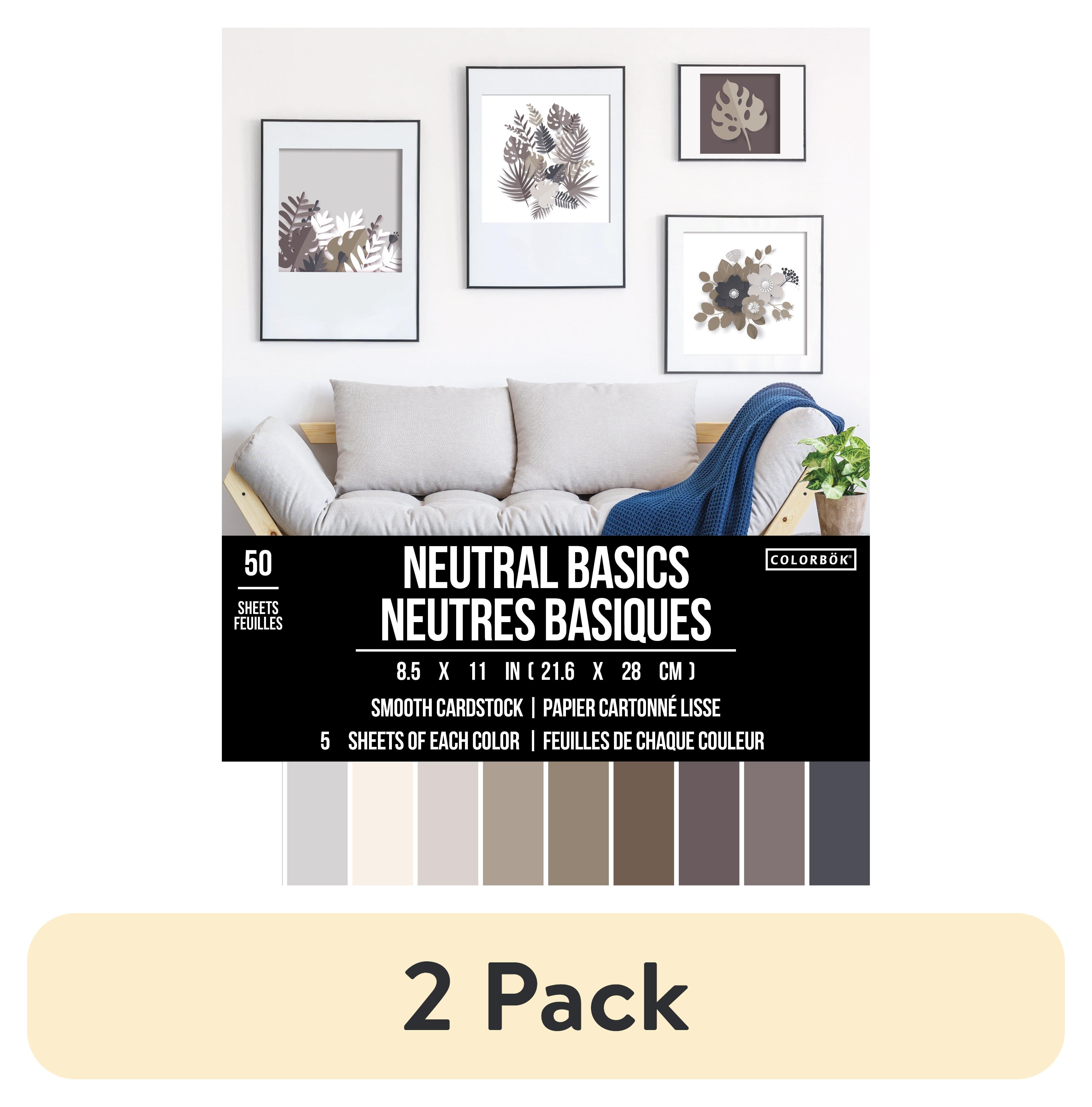 (2 pack) Colorbok Neutral Multicolor Basics Smooth Cardstock, 8.5"x11 ...