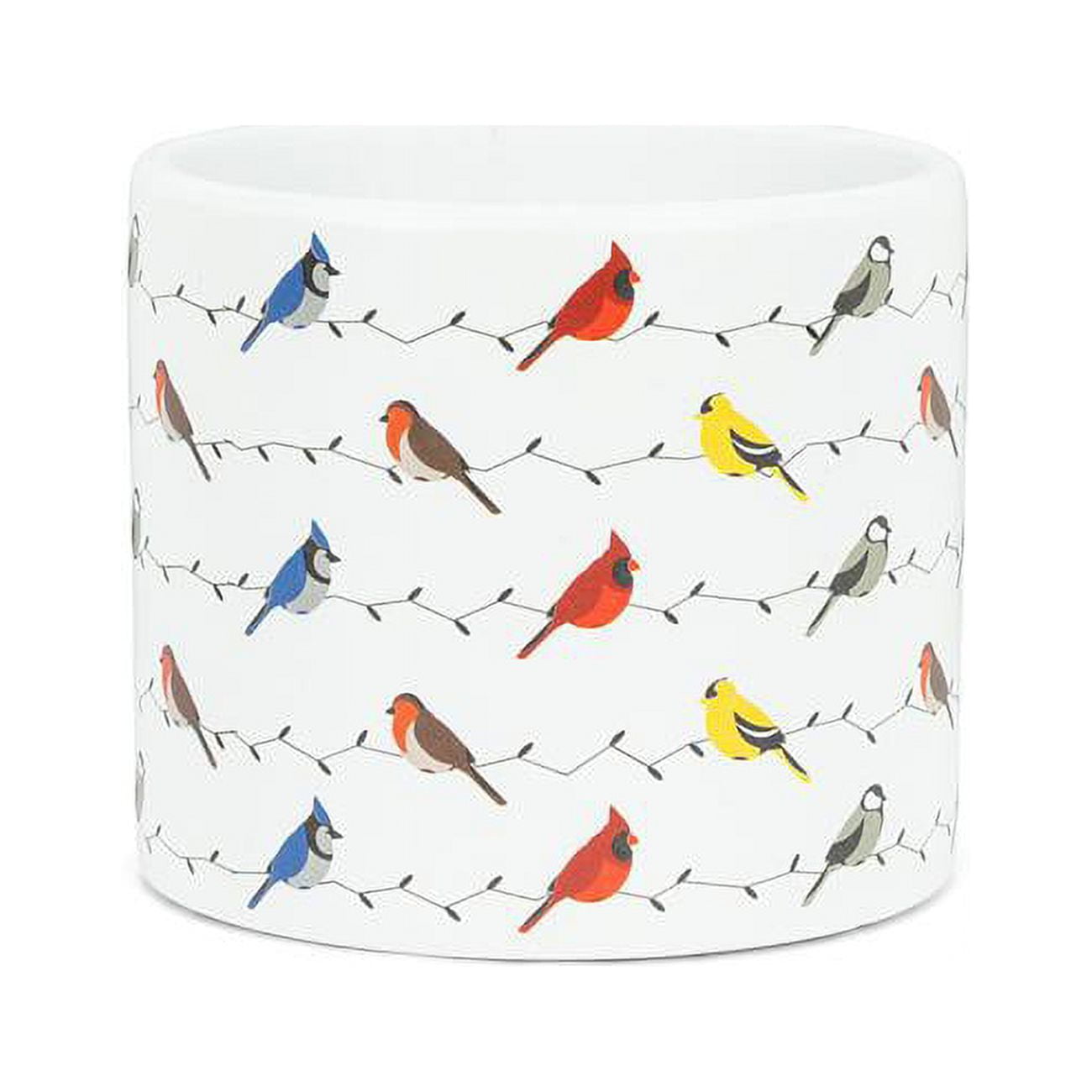 Colored Birds on Wires Planter - Walmart.com