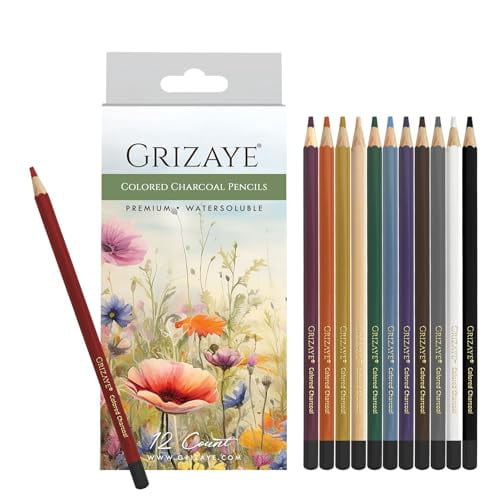Colored Charcoal Pencils, Set of 12 Premium, Watersoluble for Vivid ...