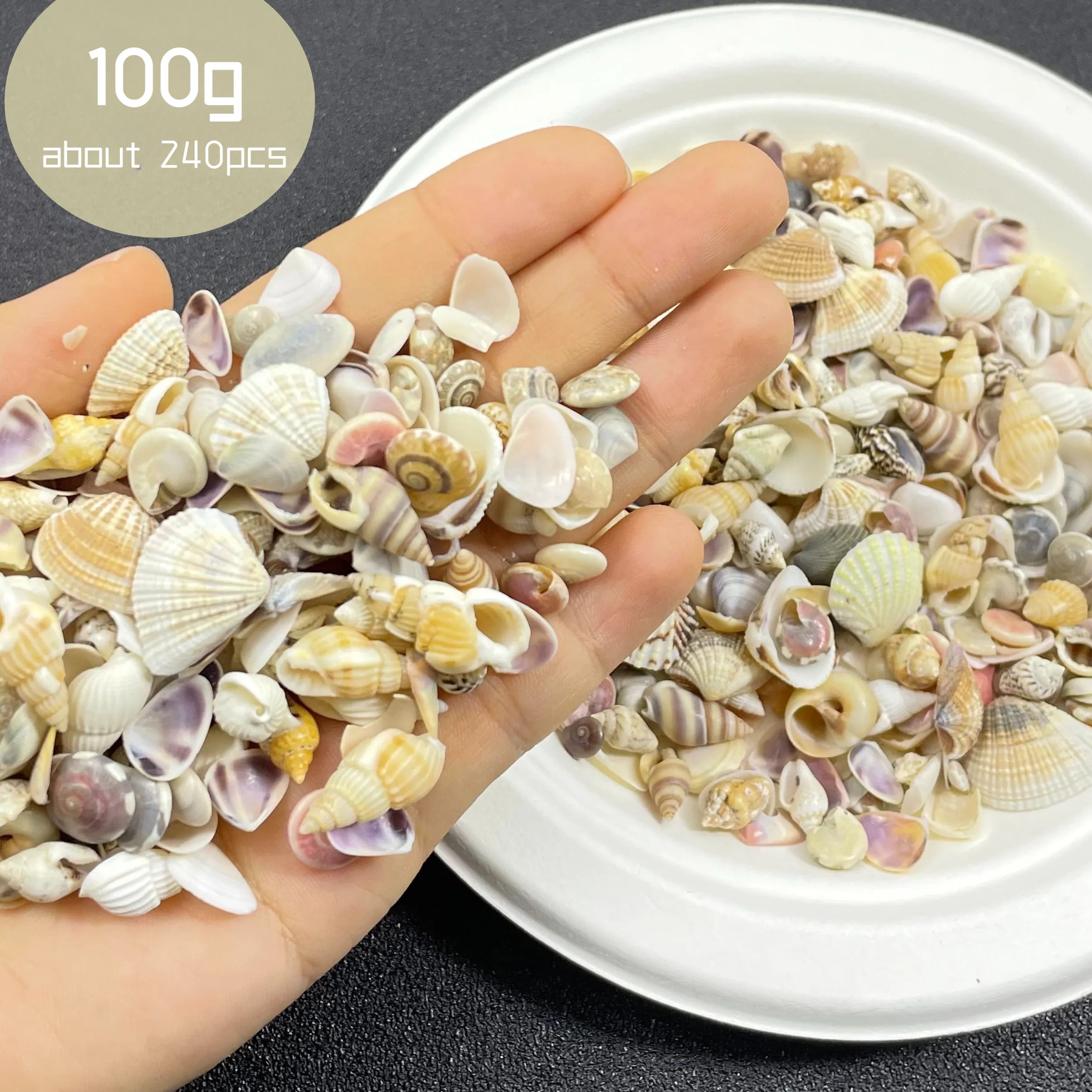 Colored Mini Seashells Mixed Bag, 100g - 12 Unique Styles for DIY ...