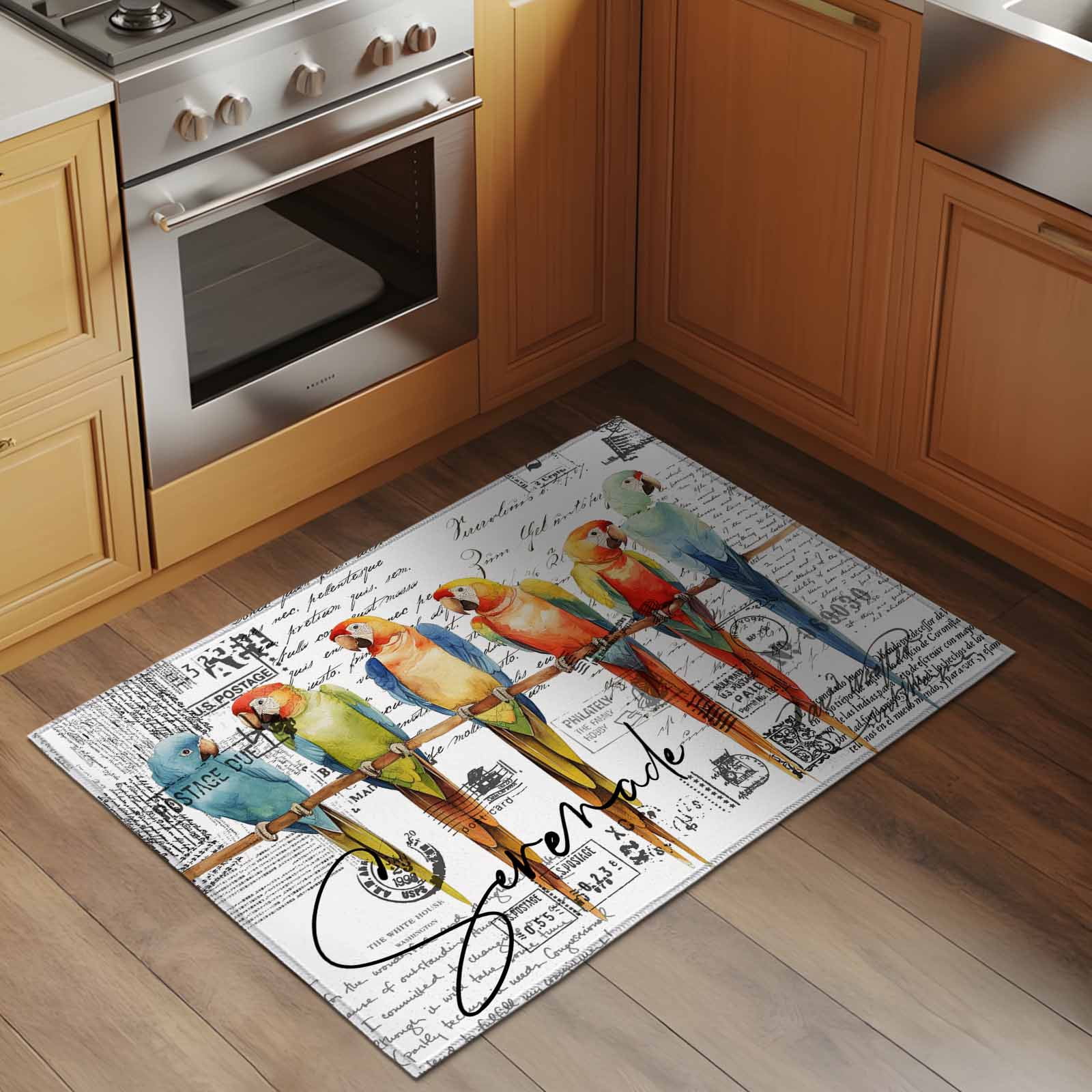 Colored Parrot 2x3 Rug for Entryway Front Door Kitchen Sink Area ...