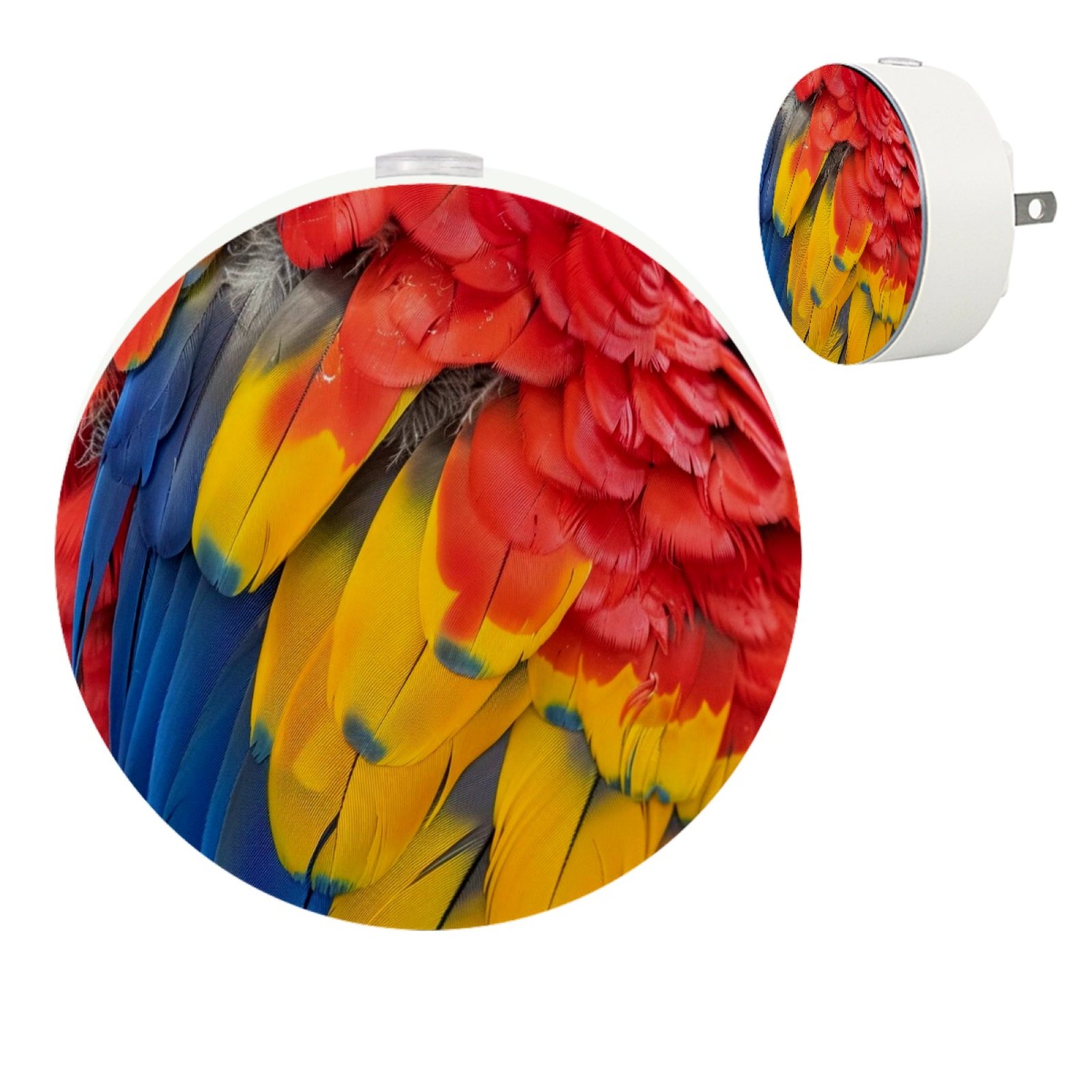 Colored Parrot Feather Automatic night lights plug into wall Dusk to ...