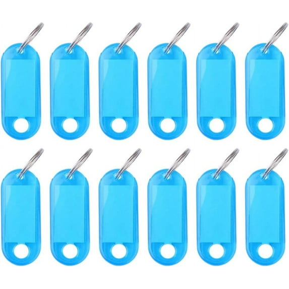 Colored Tabs 30pcs Plastic Key Tags with Ring Label Window ID Label ...