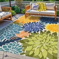 Colorful 5x8 Outdoor Area Rug Washable Multicolored Patio Rug Tropical ...