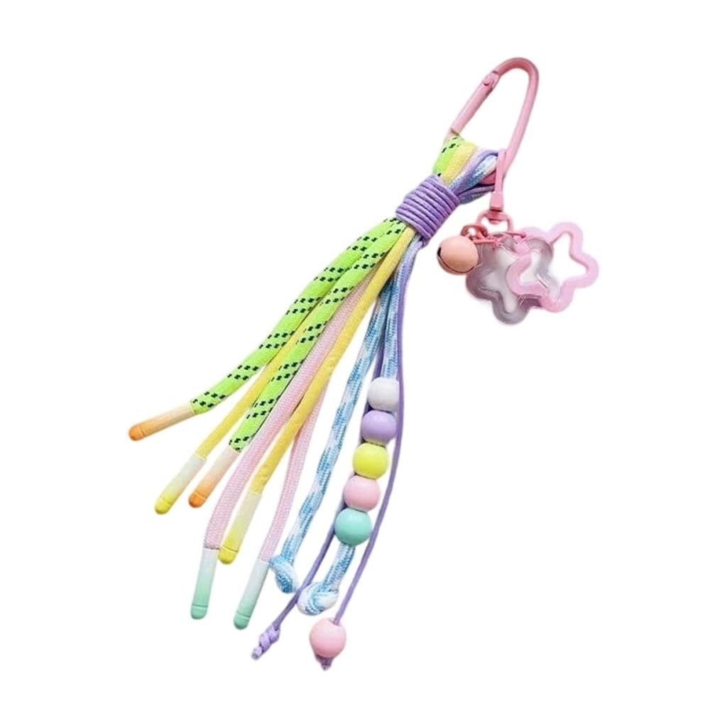 Colorful ABS Plastic Carabiner Clip Keychain Bag Pendant for Bags ...