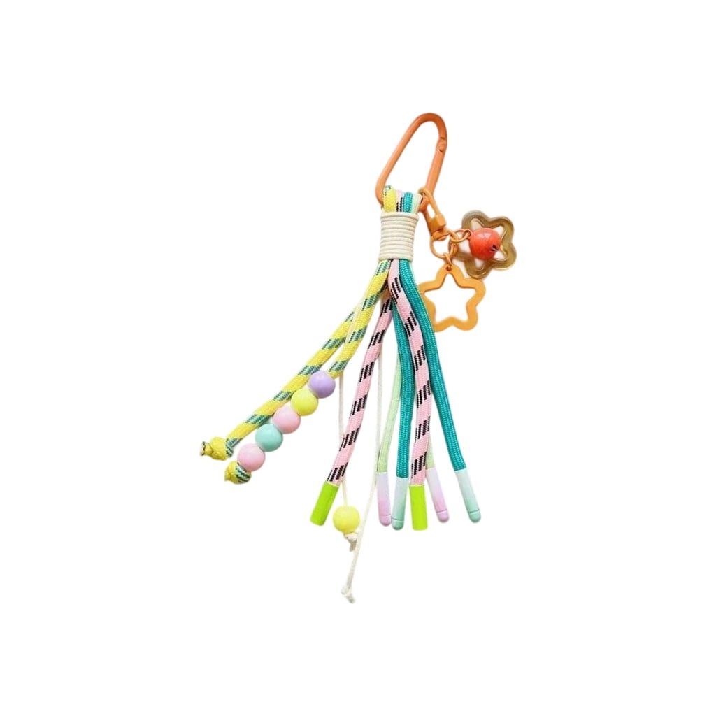 Colorful ABS Plastic Carabiner Clip Keychain Bag Pendant for Bags ...