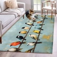 Colorful Birds Area Rug 3x5 FT, Non Slip Entryway Bedside Carpet ...