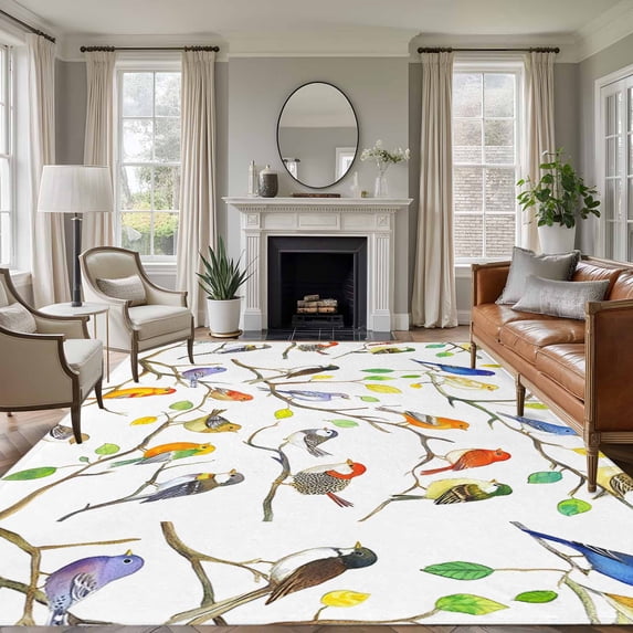 Colorful Birds Area Rug 6x9 FT, Non Slip Living Room Throw Carpet ...