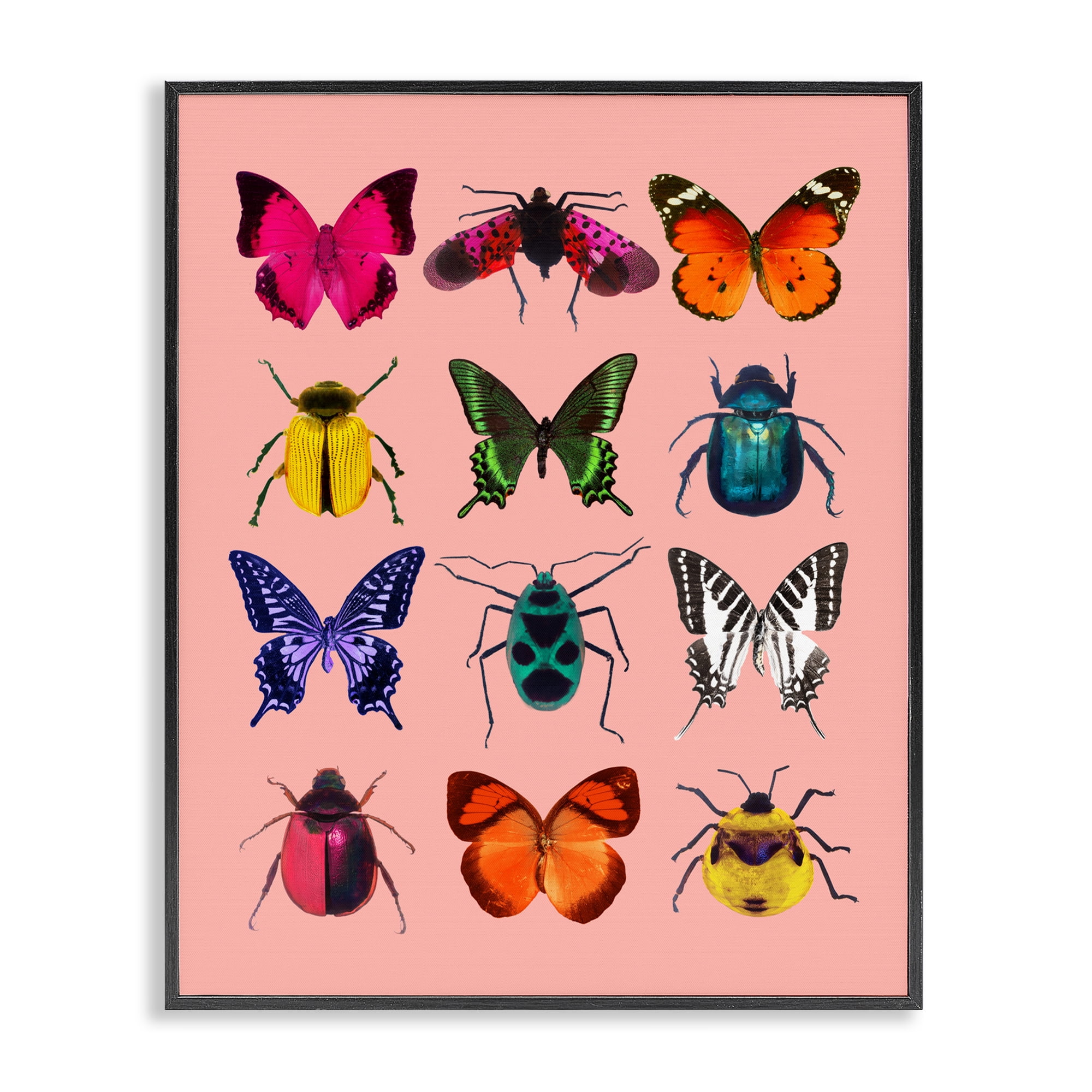 Colorful Bug Species on Pink Black Framed Giclee Art, design by LISH ...