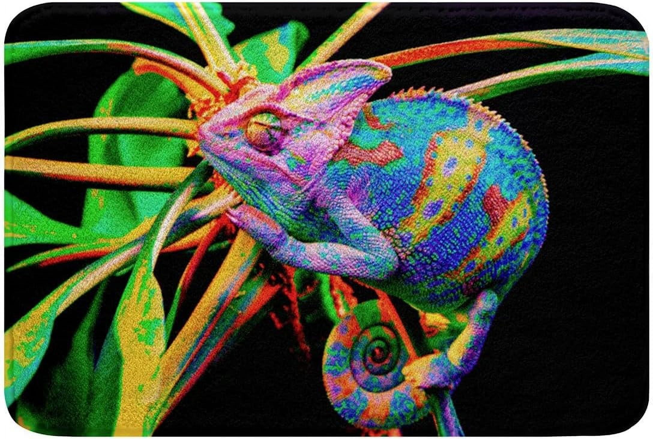 Colorful Chameleon Bath Rugs Lovely Lizard Wildlife Bath Mat for Kids ...