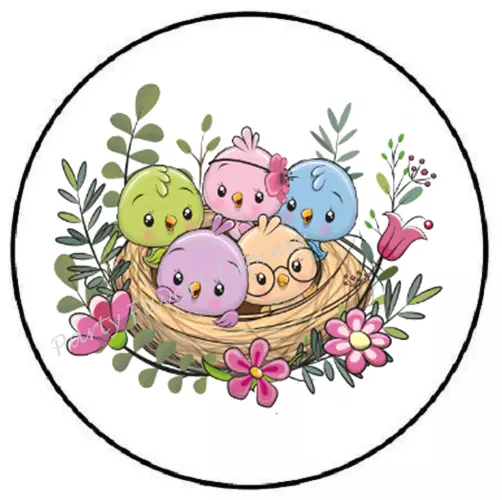Colorful Chicks In Nest Sticker Party Favors Sticker Envelope Seals ...
