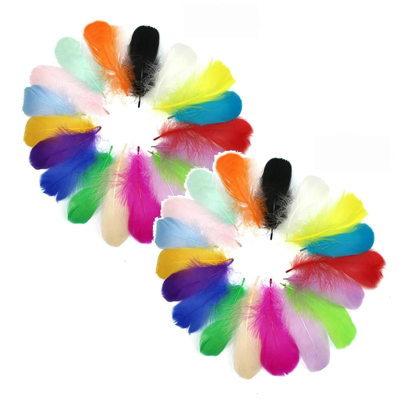 Colorful Craft Rooster Feathers - 200pcs 3.14-4.72 Inch Colored ...