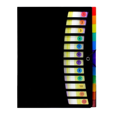 Storage Studios Expandable Paper Organizer with 12 Pockets - Walmart.com