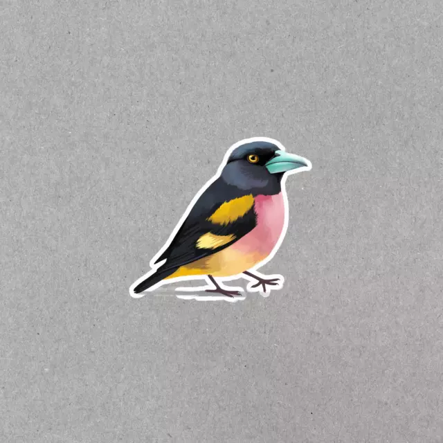 Colorful Finch Bird Sticker - Vibrant Realistic Illustration Art ...