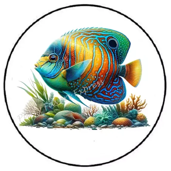 Colorful Fish Sticker Party Favors Sticker Envelope Seals Labels ...