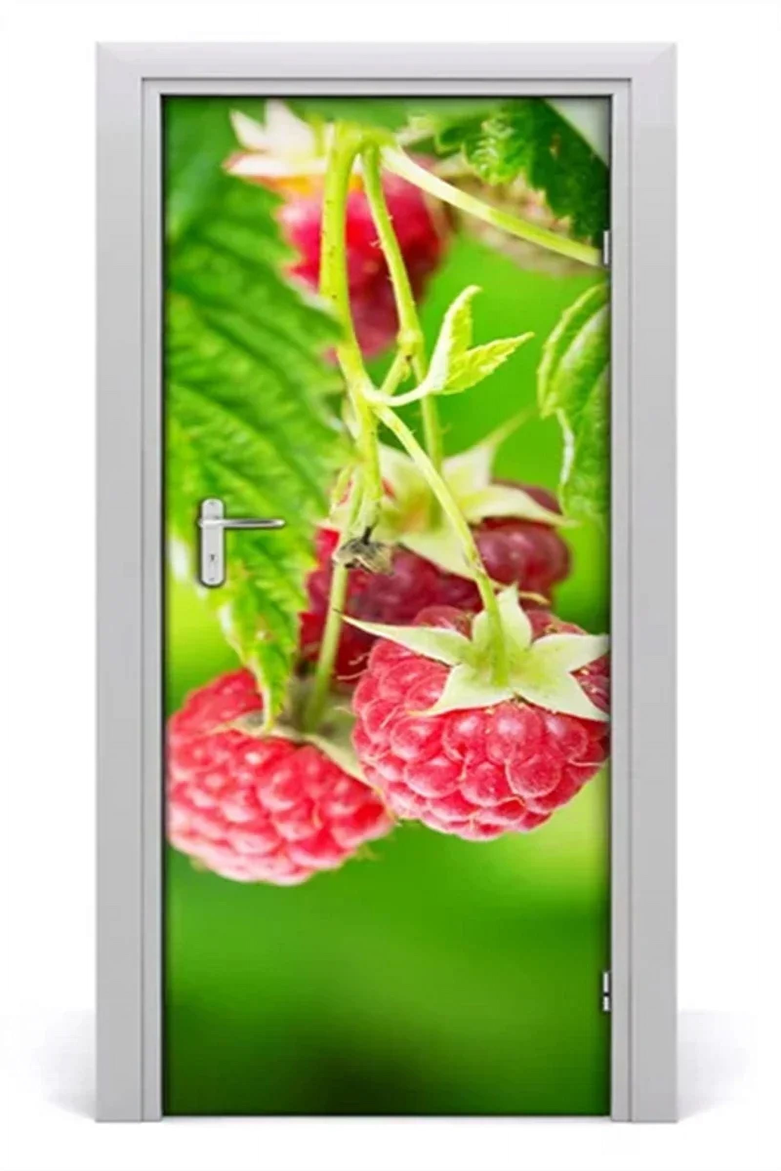 Colorful Fruit Door Wallpaper Sticker Lovely Cartoon Food Stickers Self ...