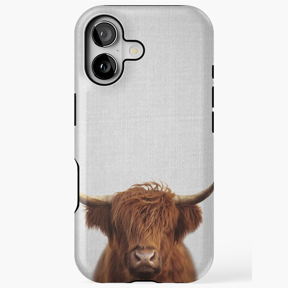Colorful Highland Cow Shaggy Scottish Cattle Hairy Coo Farm Animal ...