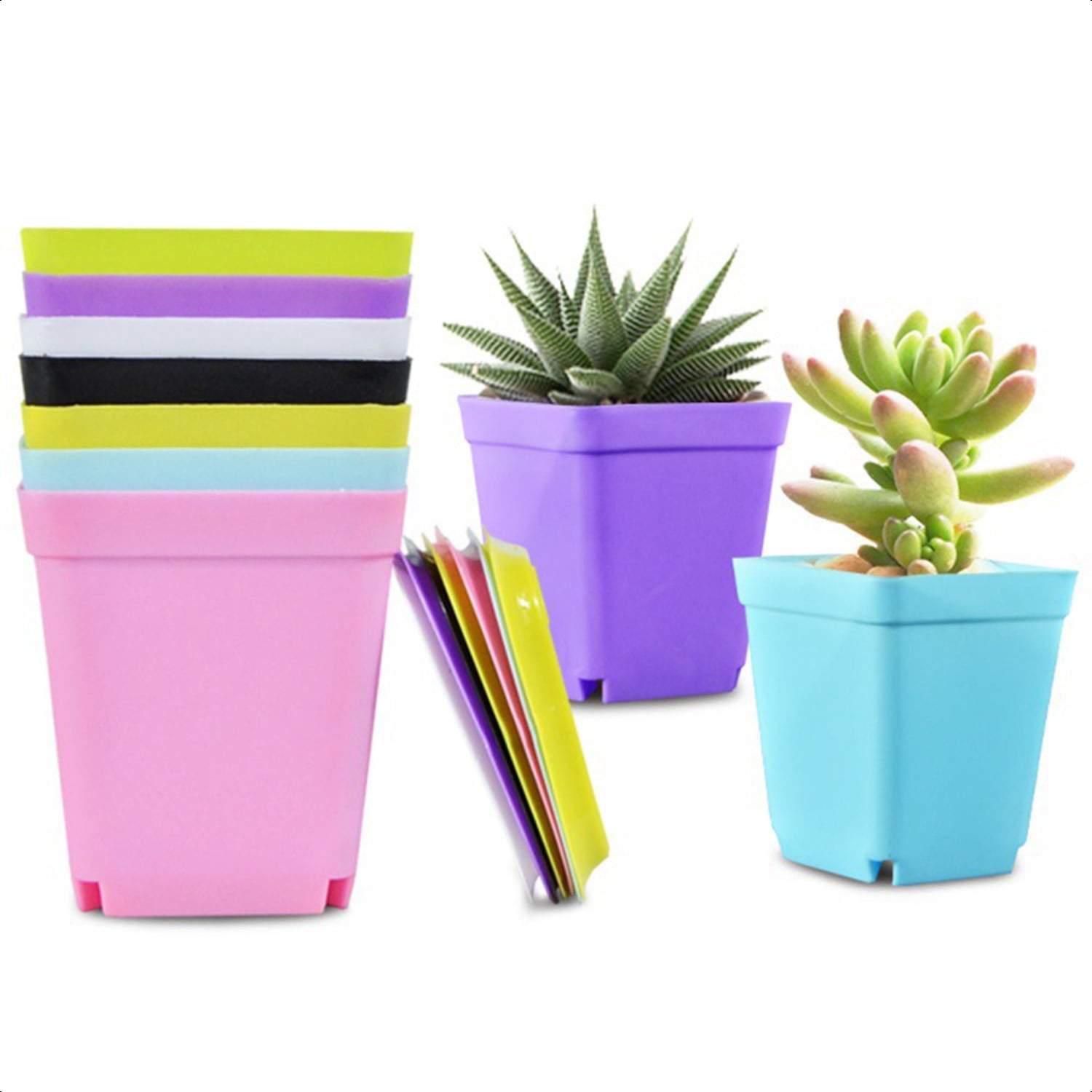 Colorful Mini Plastic Flower Seedling Pot with Pallet 10-Pack Square ...