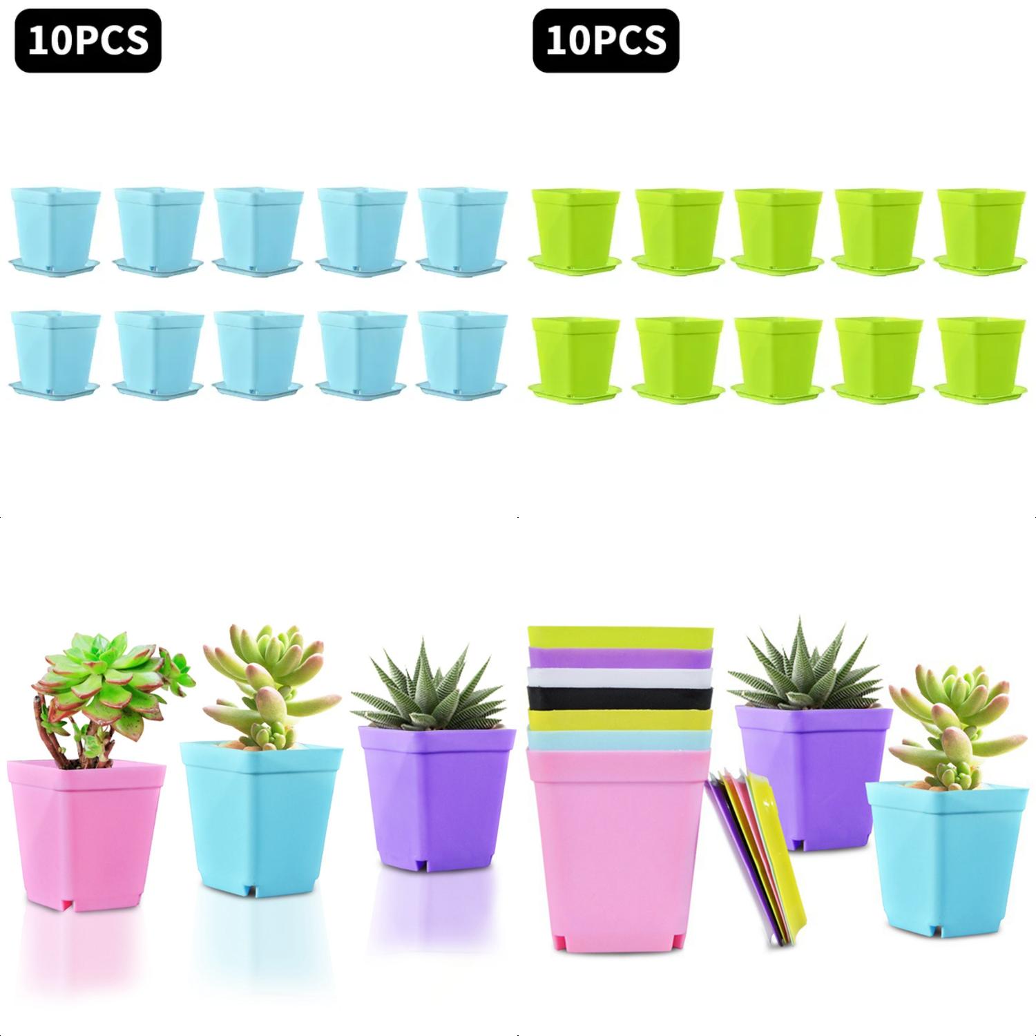 Colorful Mini Plastic Square Nursery Flower Pot with Pallet - Small ...
