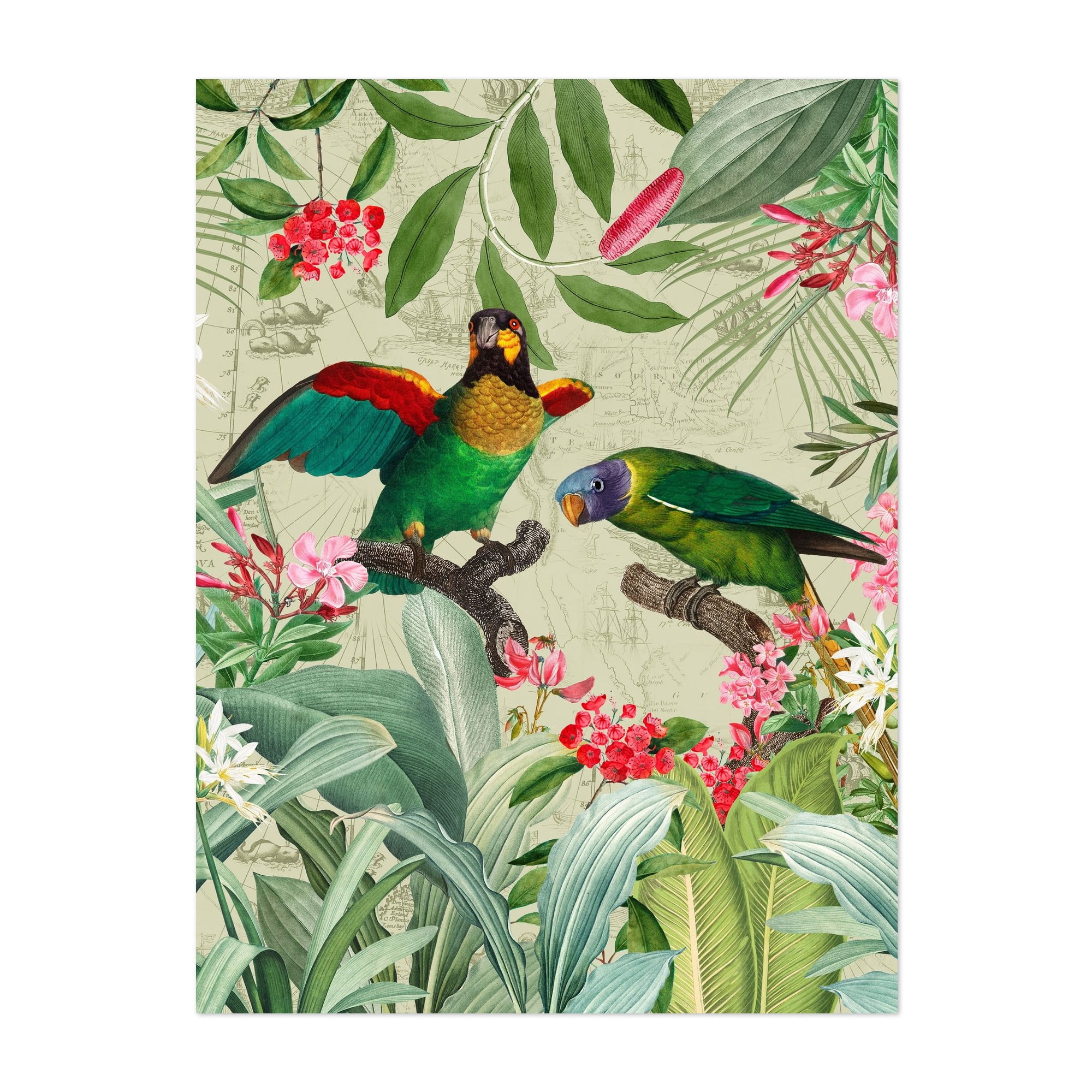 Colorful Nostalgic Exotic Parrots In a Tropical Jungle 2 - Painting ...