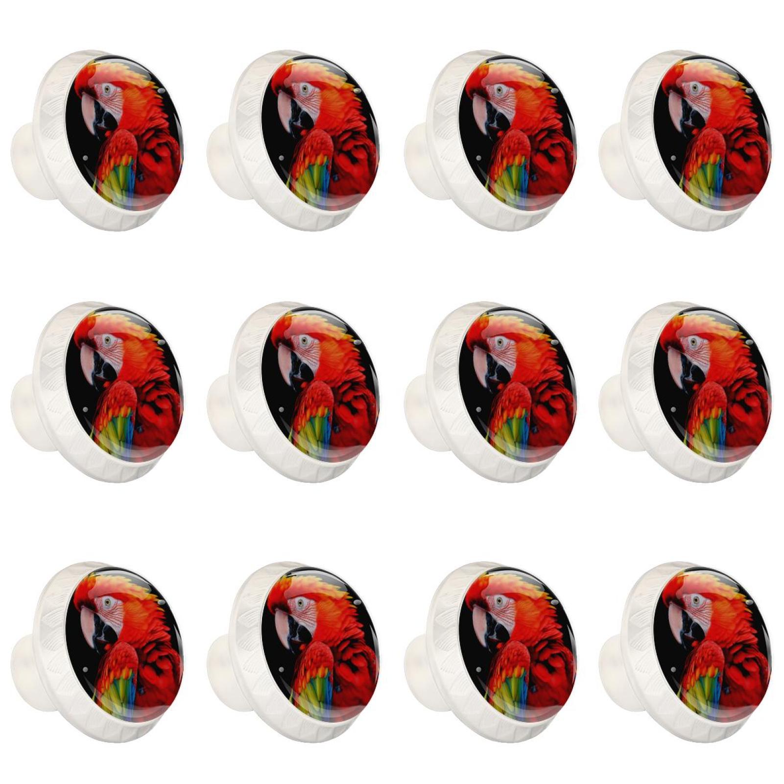 Colorful Parrot 12 Pcs White Round Drawer Pulls with Screws,ABS and ...
